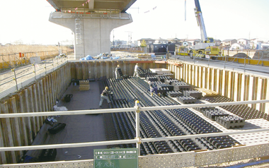 Minuma Tanbo Shutoko Biotope|shuto-E-co